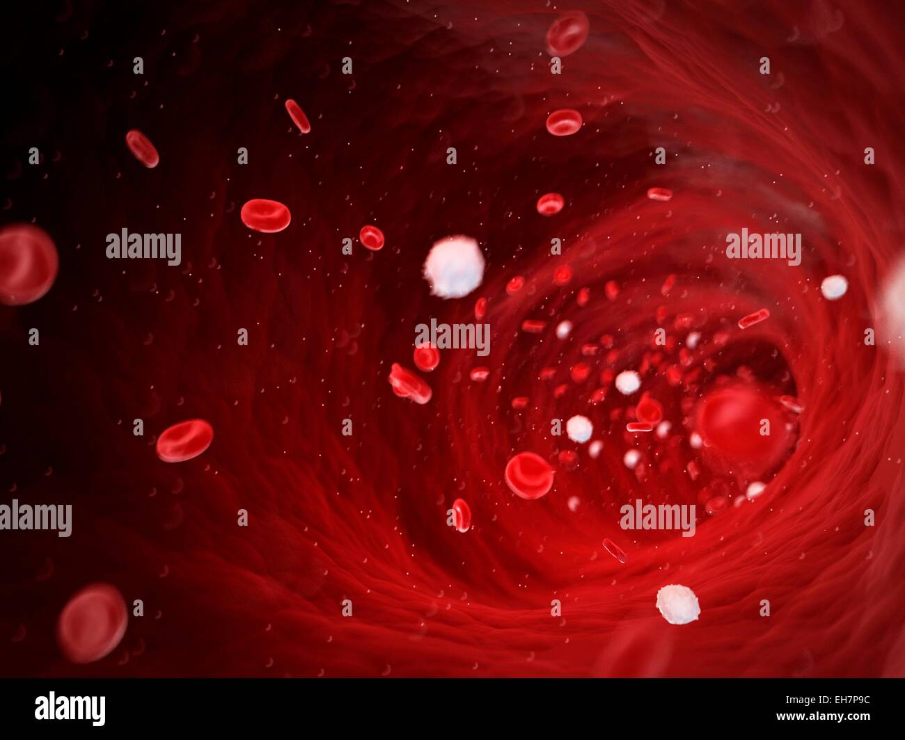 Human blood cells, illustration Stock Photo - Alamy