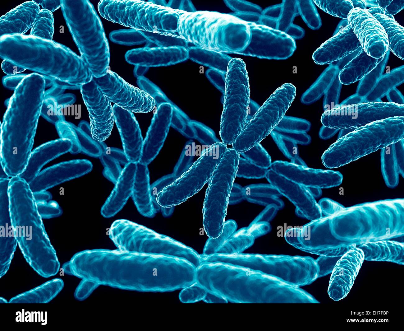 Human x chromosomes, illustration Stock Photo - Alamy Human x chromosomes, illustration Stock Photo - Alamy