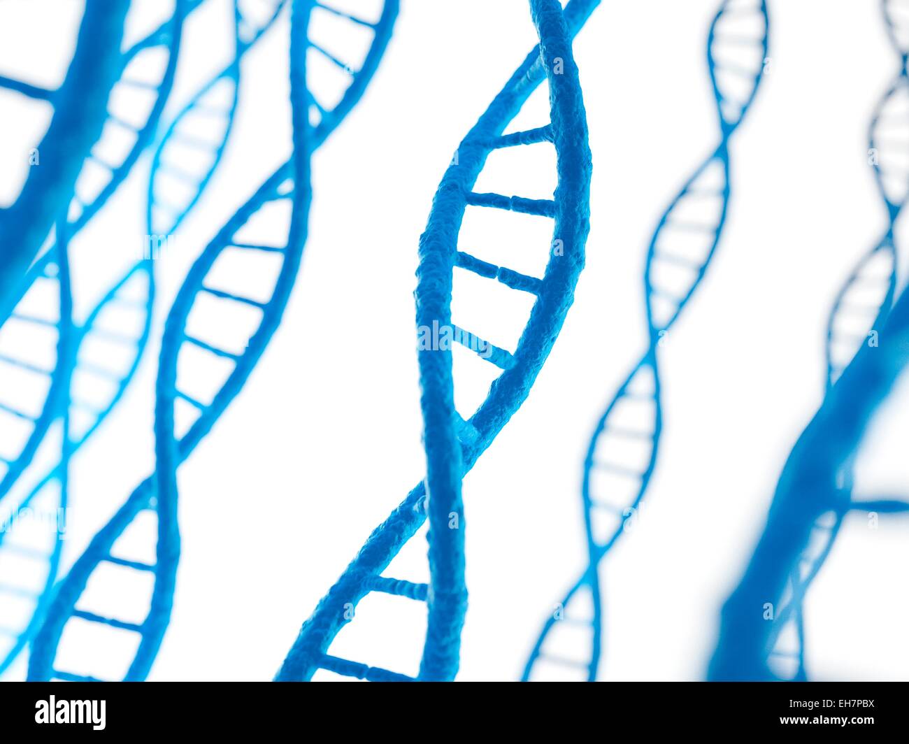 Human DNA, illustration Stock Photo - Alamy
