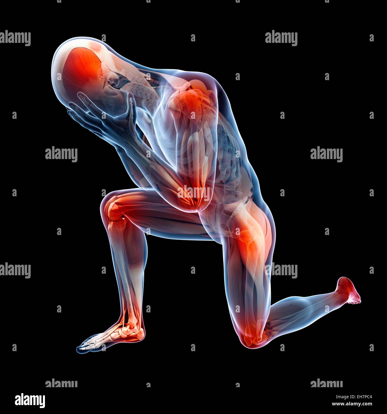 Human kneeling in pain hi-res stock photography and images - Alamy