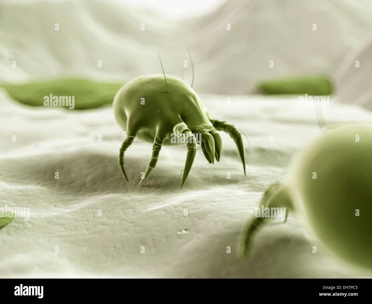 Dust mite computer artwork house hi-res stock photography and images ...