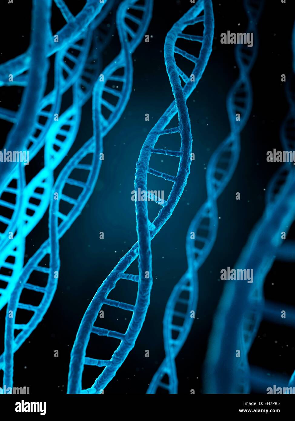 Human DNA, illustration Stock Photo - Alamy