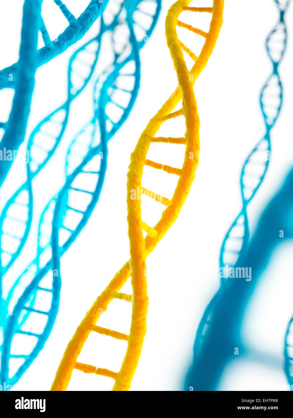 Human DNA, illustration Stock Photo - Alamy