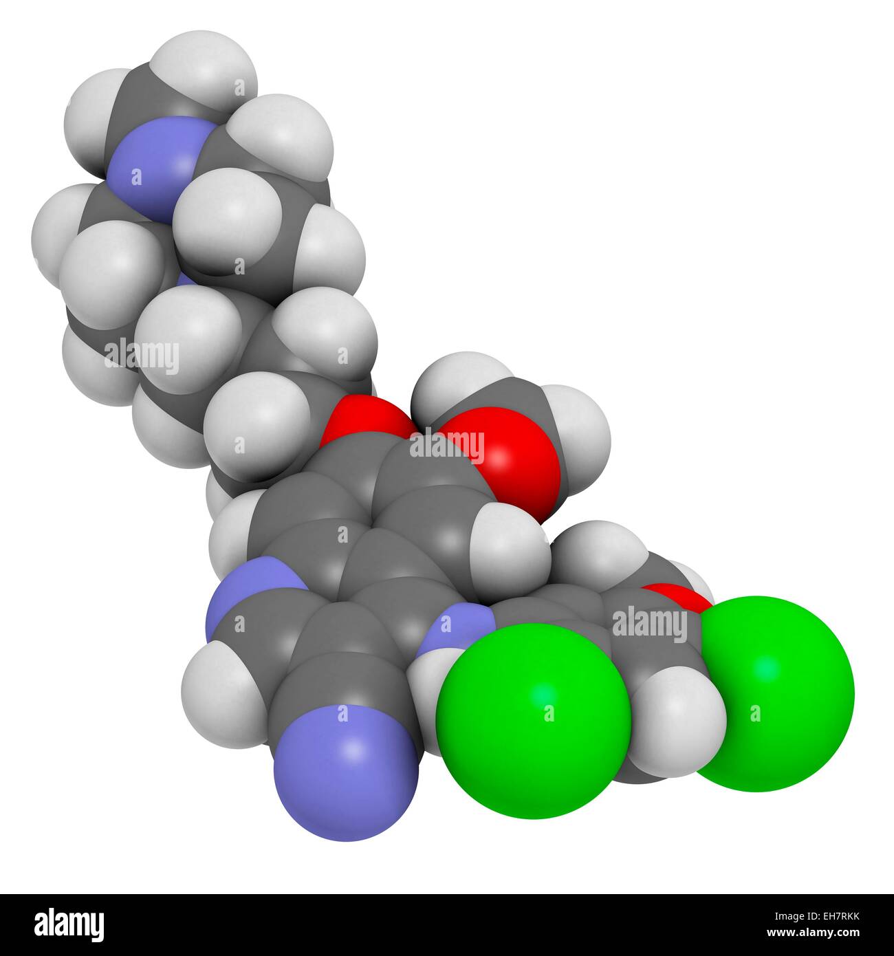 Leukemia cml Cut Out Stock Images & Pictures - Alamy