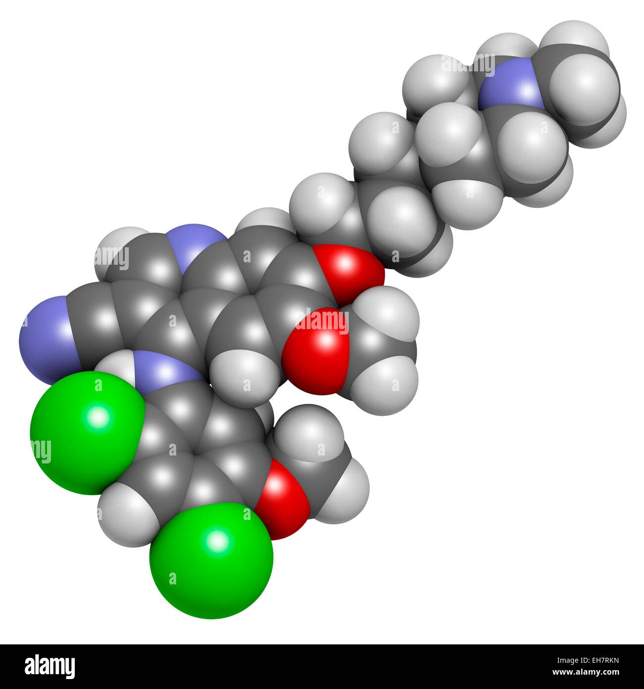 Cml leukemia Cut Out Stock Images & Pictures - Alamy