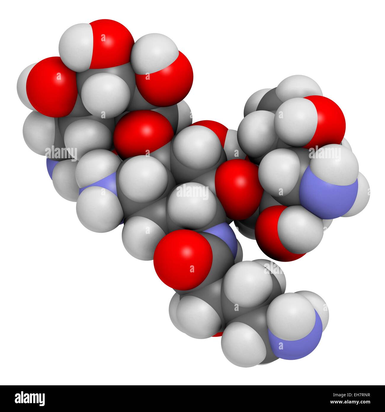 Amikacin aminoglycoside antibiotic Stock Photo - Alamy