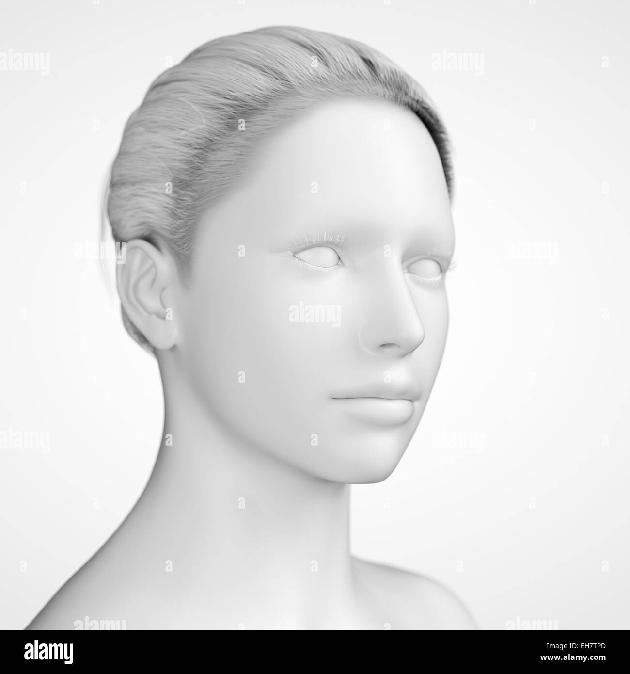 Human head, illustration Stock Photo - Alamy