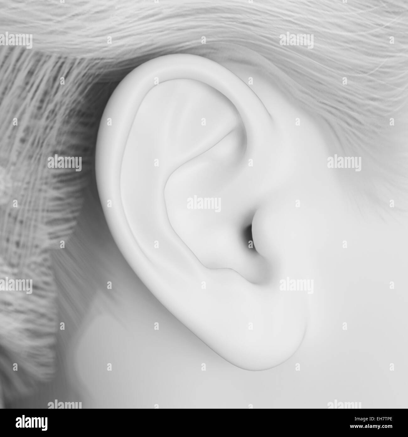 Human ear anatomy Black and White Stock Photos & Images - Alamy