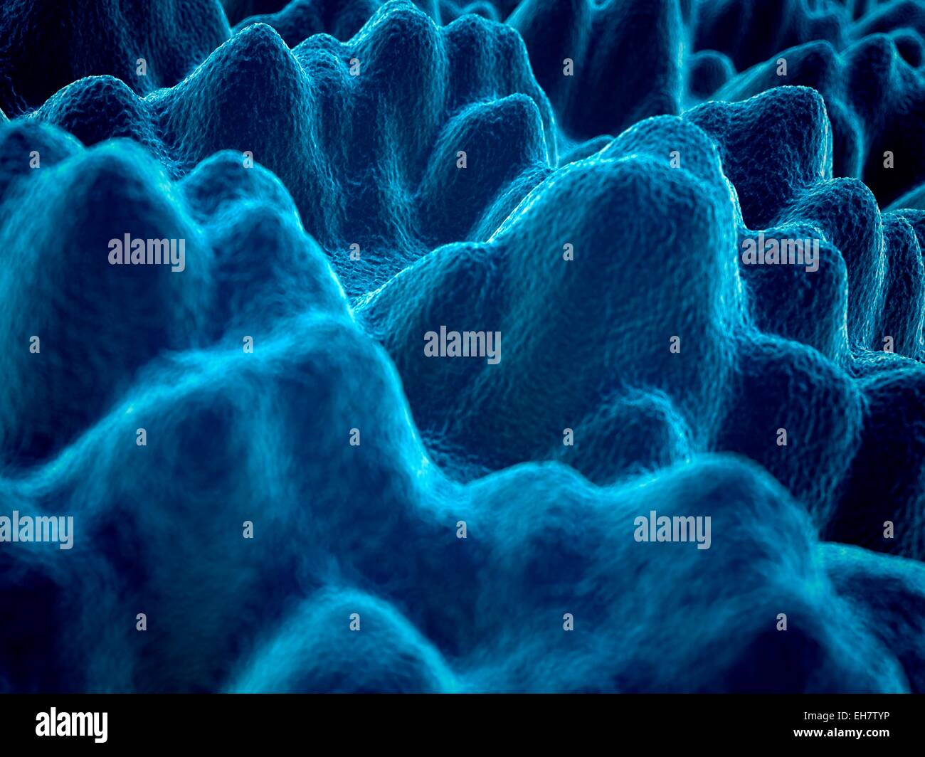 Silicone texture hi-res stock photography and images - Alamy