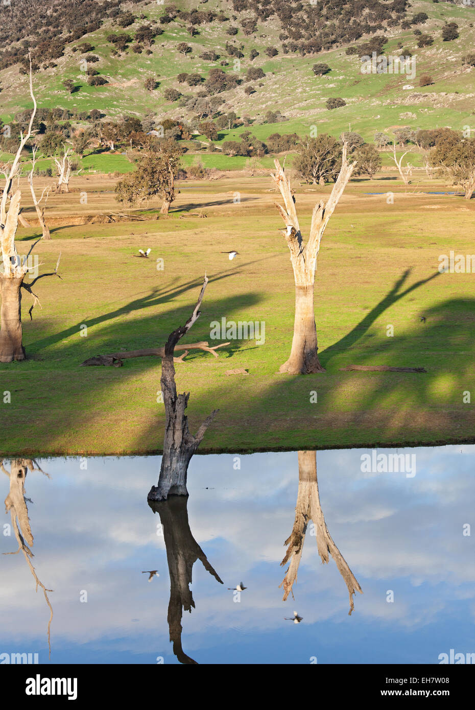 Hume region victoria australia hi-res stock photography and images - Alamy