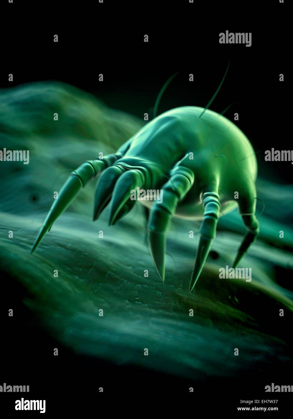 Dust mite computer artwork house hi-res stock photography and images ...