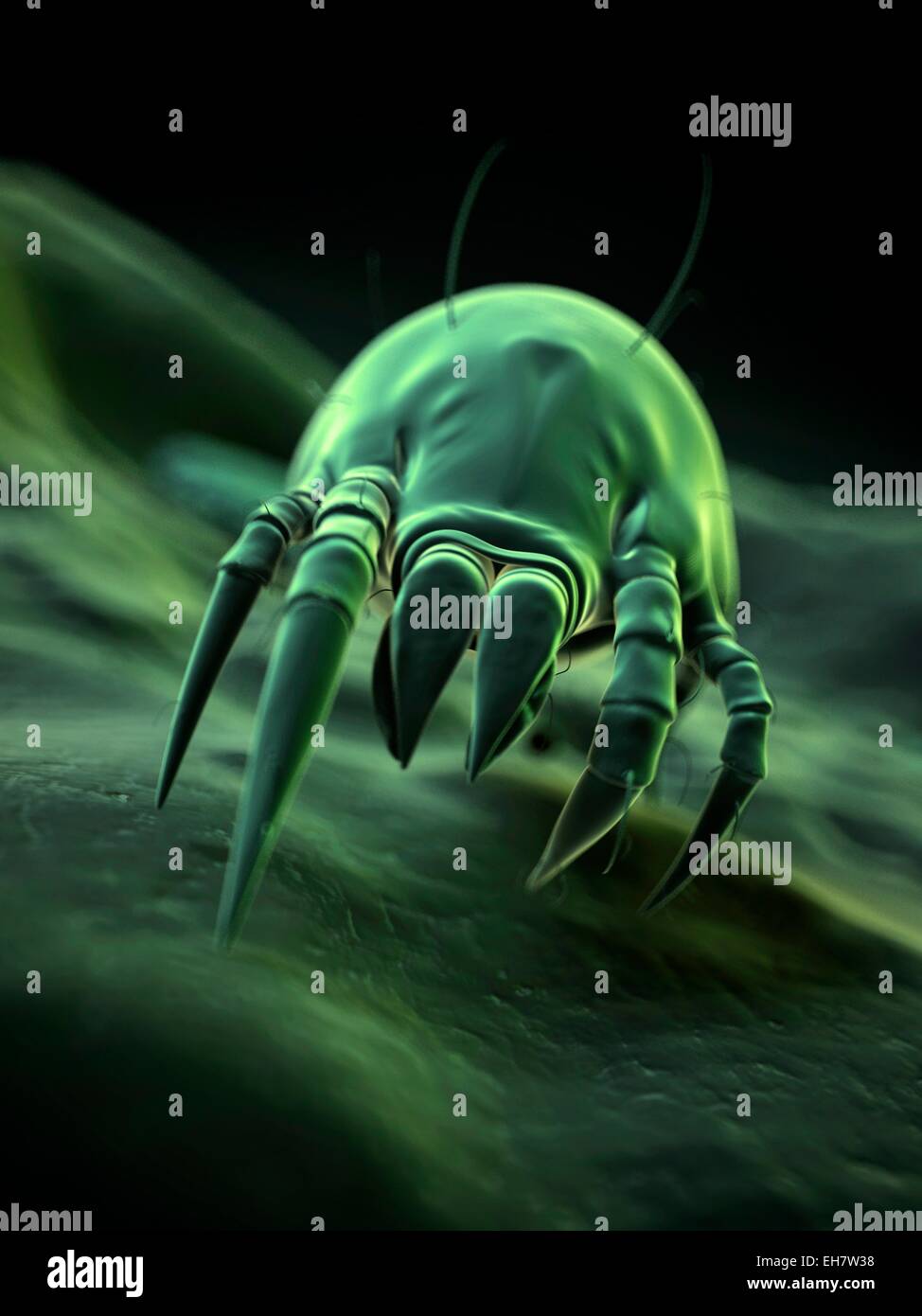 Dust mite computer artwork house hi-res stock photography and images ...