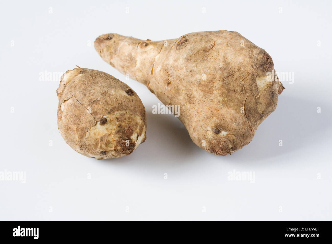 Knobbly vegetables hi-res stock photography and images - Alamy