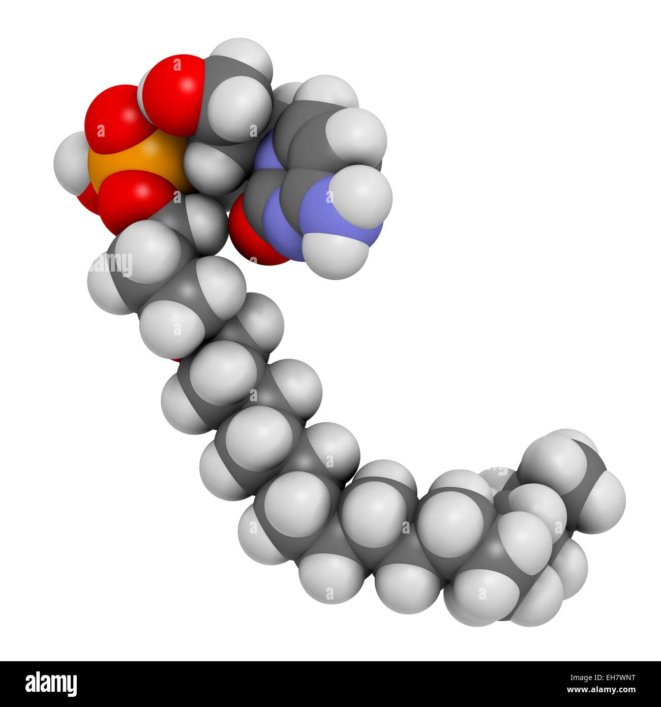 Brincidofovir antiviral drug molecule Stock Photo - Alamy