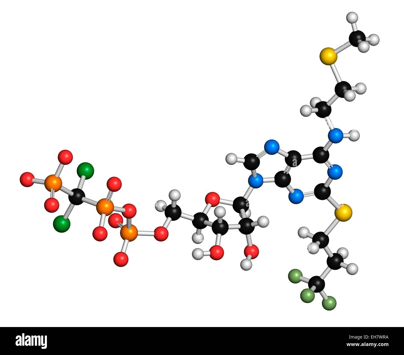 Cangrelor antiplatelet drug molecule Stock Photo - Alamy