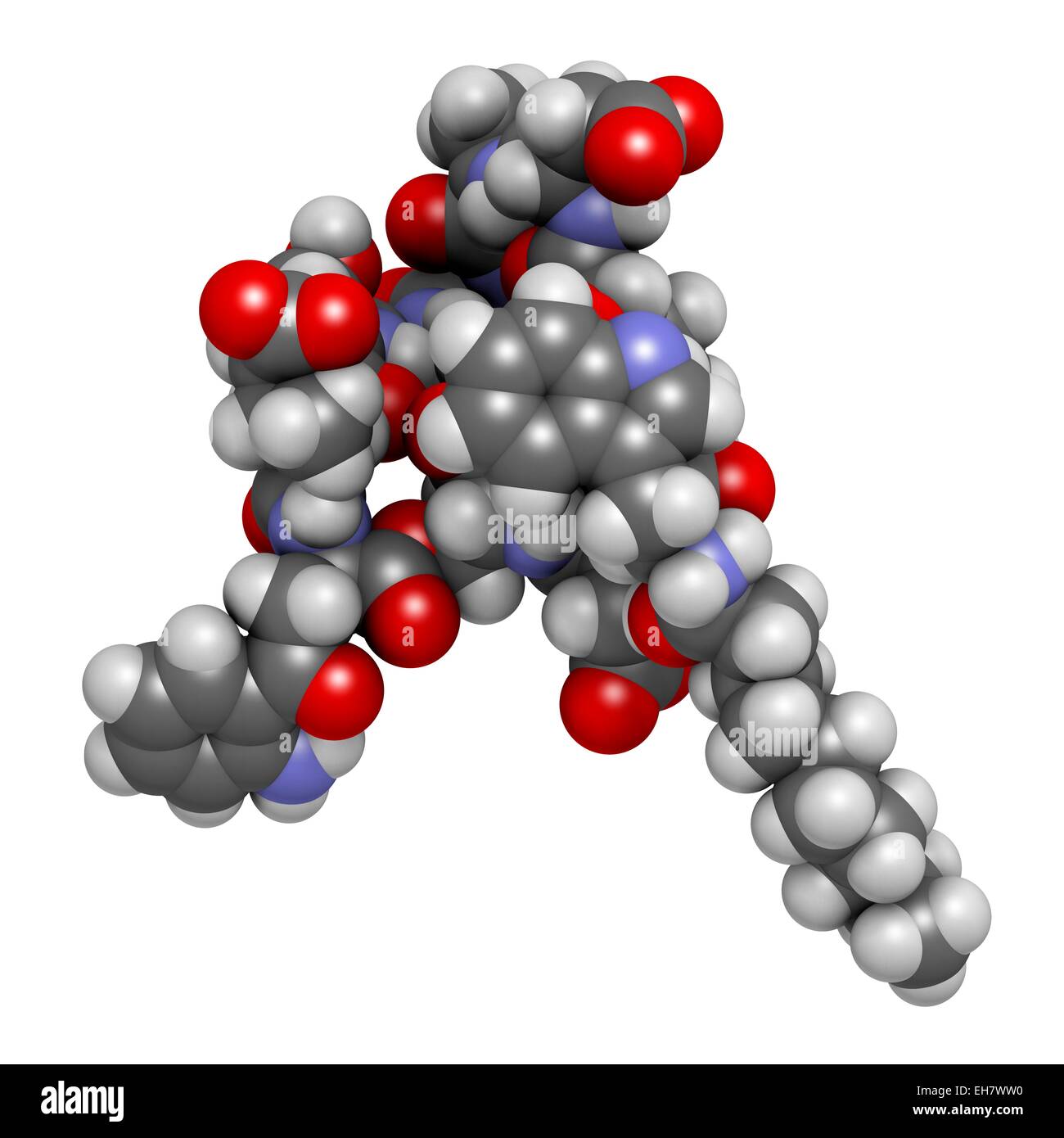 Daptomycin antibiotic drug molecule Stock Photo - Alamy