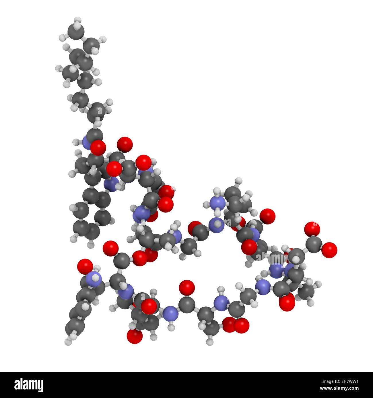 Daptomycin antibiotic drug molecule Stock Photo - Alamy