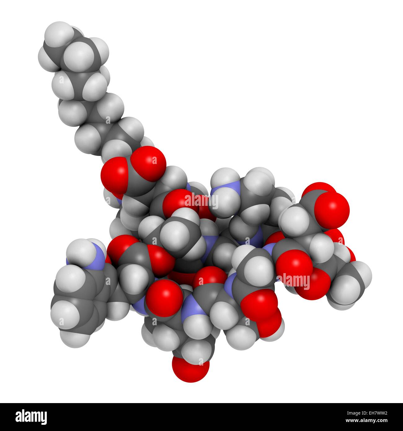 Daptomycin antibiotic drug molecule Stock Photo - Alamy
