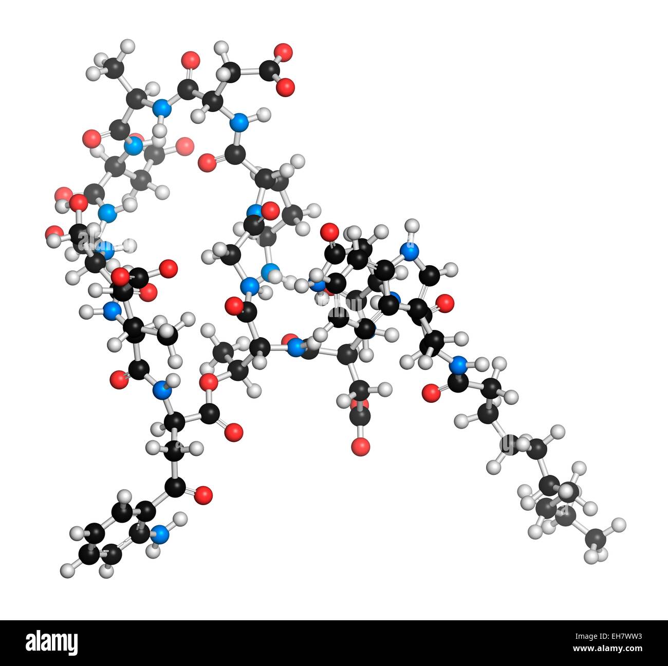 Daptomycin antibiotic drug molecule Stock Photo - Alamy