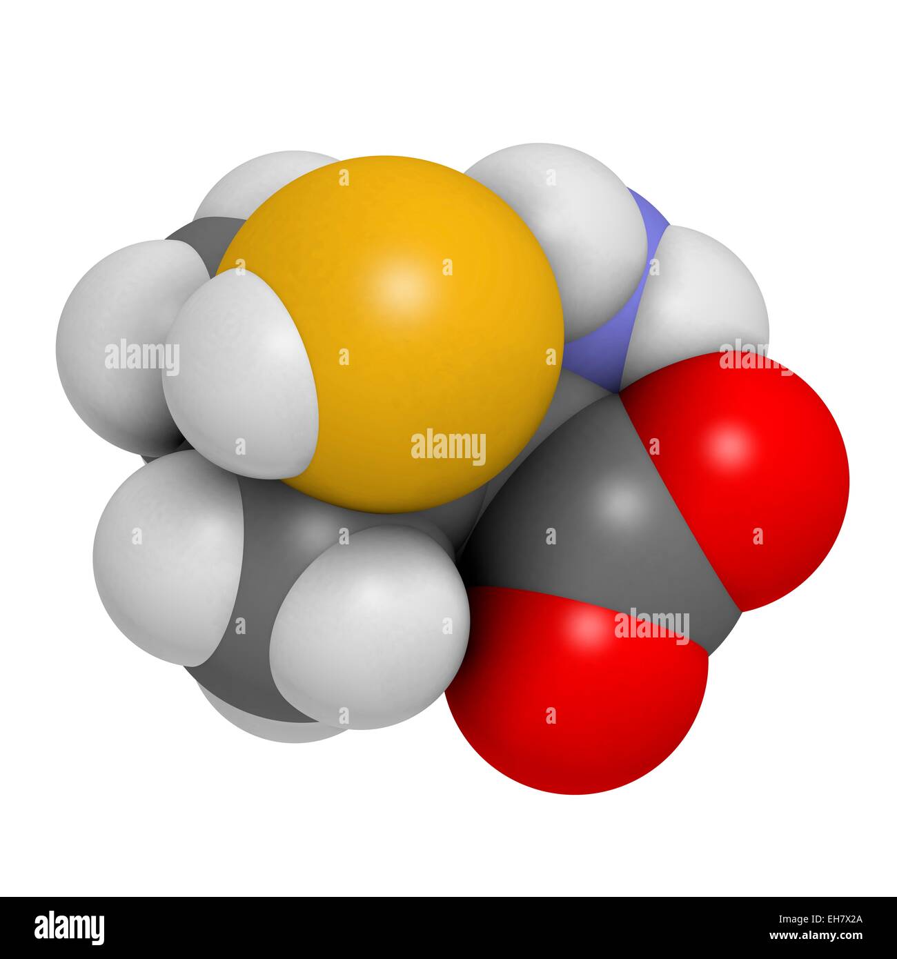 Penicillamin Cut Out Stock Images & Pictures - Alamy