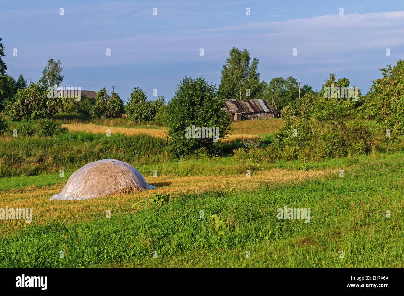 Haystack in village Stock Photo - Alamy