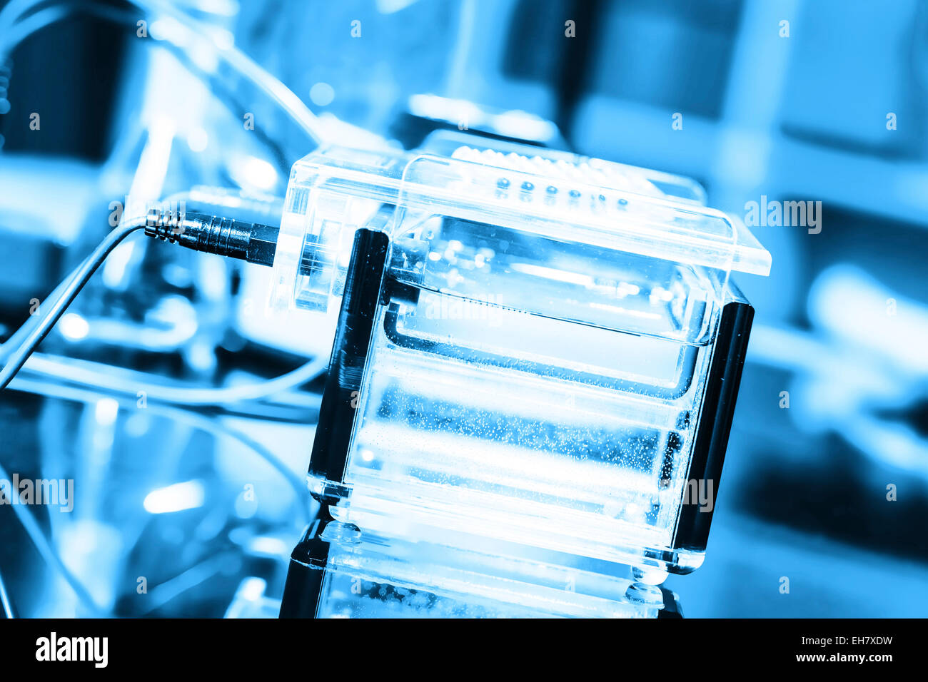 Electrophoresis equipment in lab Stock Photo - Alamy