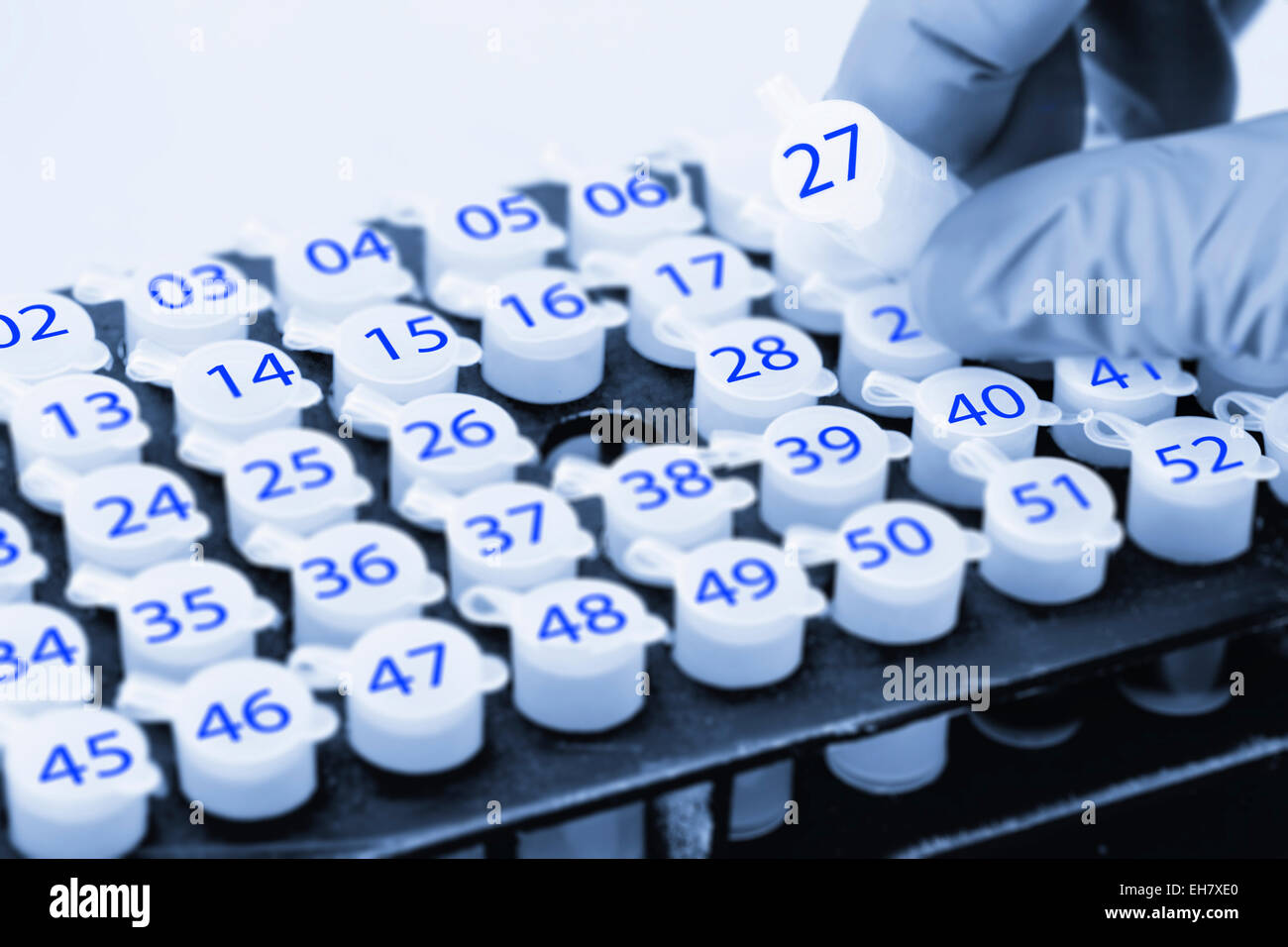 Numbered test tubes in a test tube rack Stock Photo - Alamy