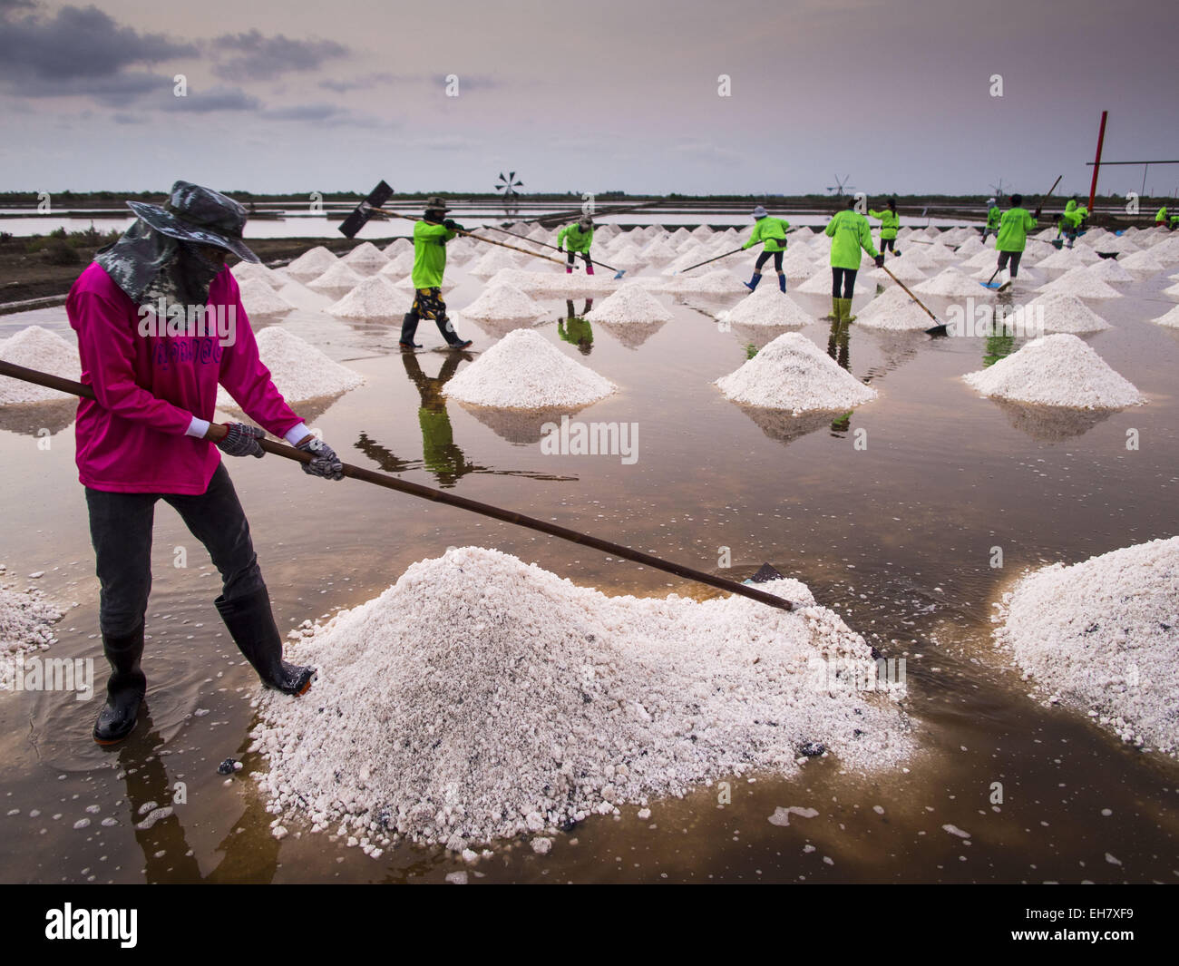 Na Khok, Samut Sakhon, Thailand. 9th Mar, 2015. Workers rake salt into ...