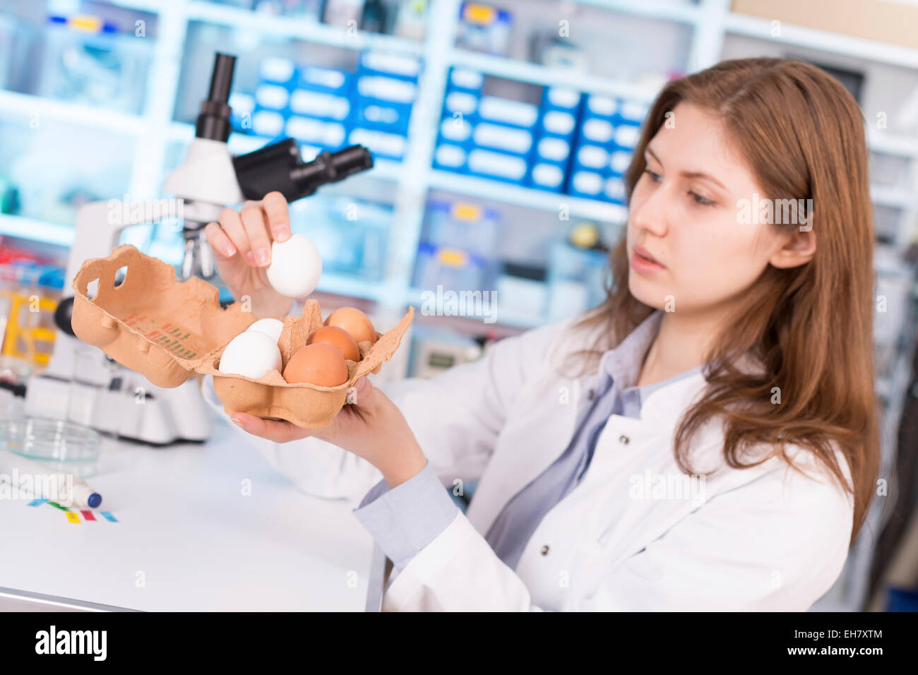 Testing eggs in laboratory hi-res stock photography and images - Alamy