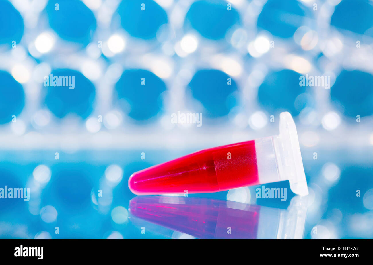 Microtube hi-res stock photography and images - Alamy