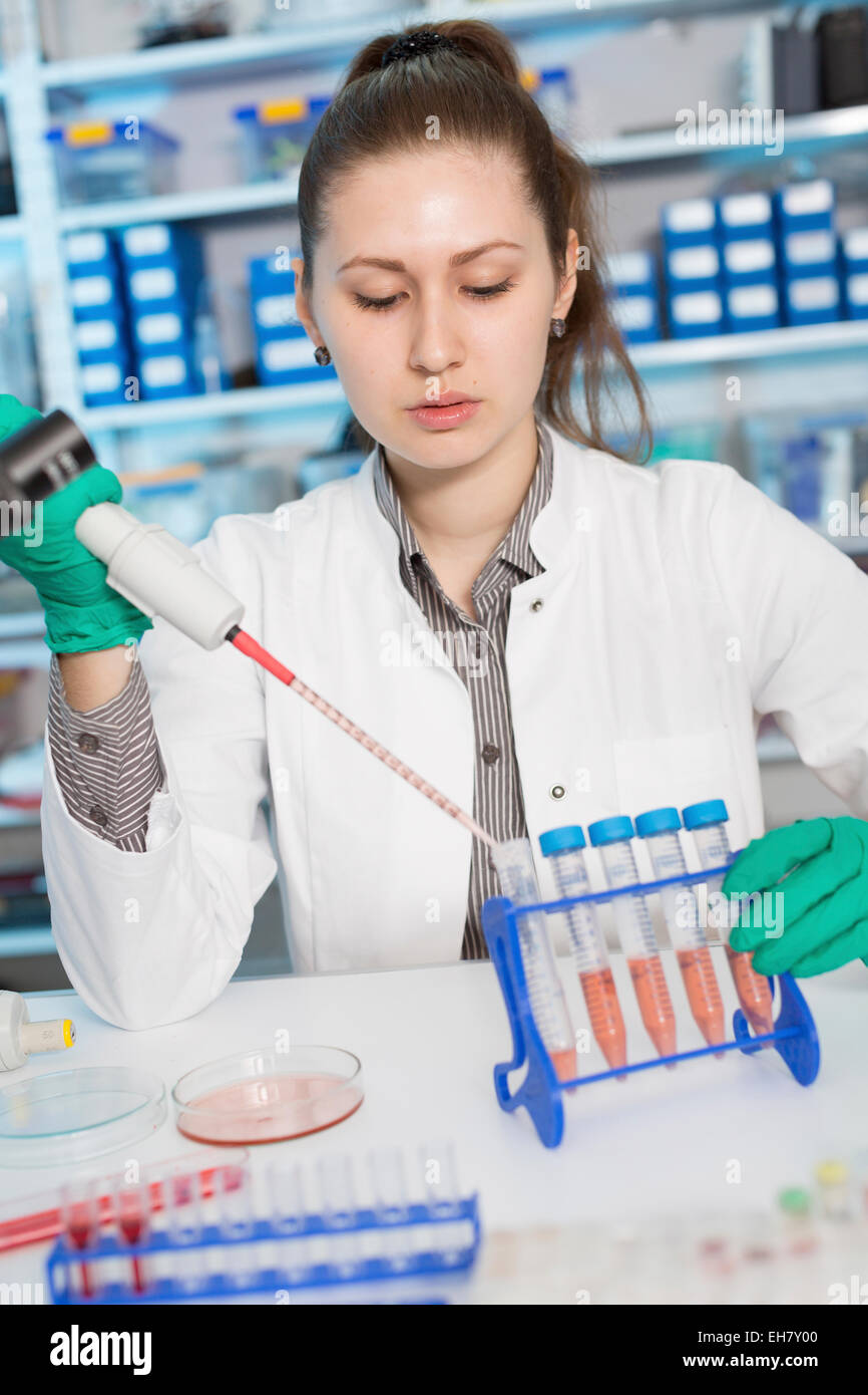 Lab assistant using pipette Stock Photo - Alamy