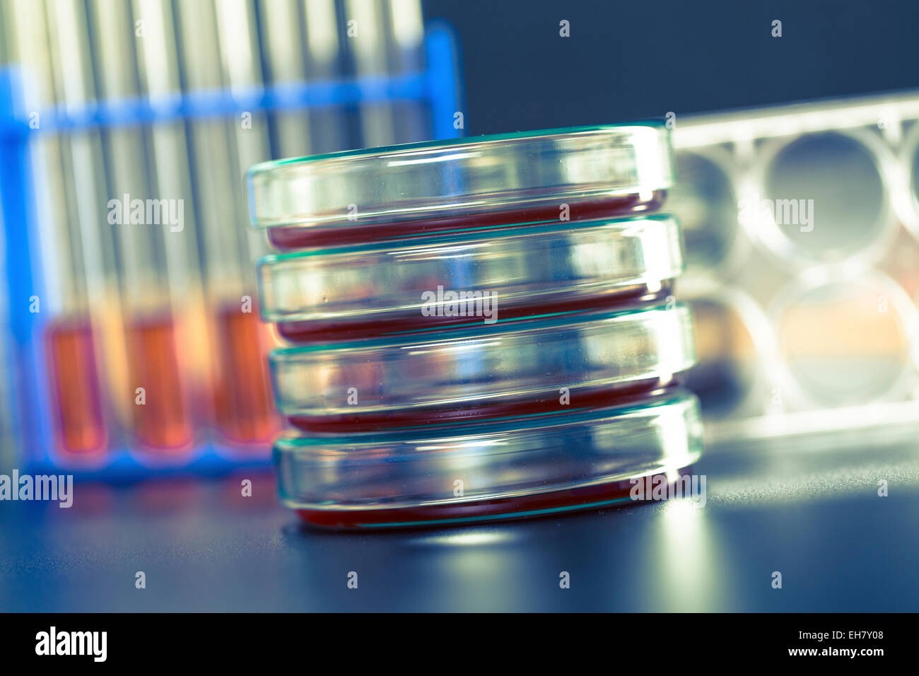 Petri dishes in a stack Stock Photo - Alamy