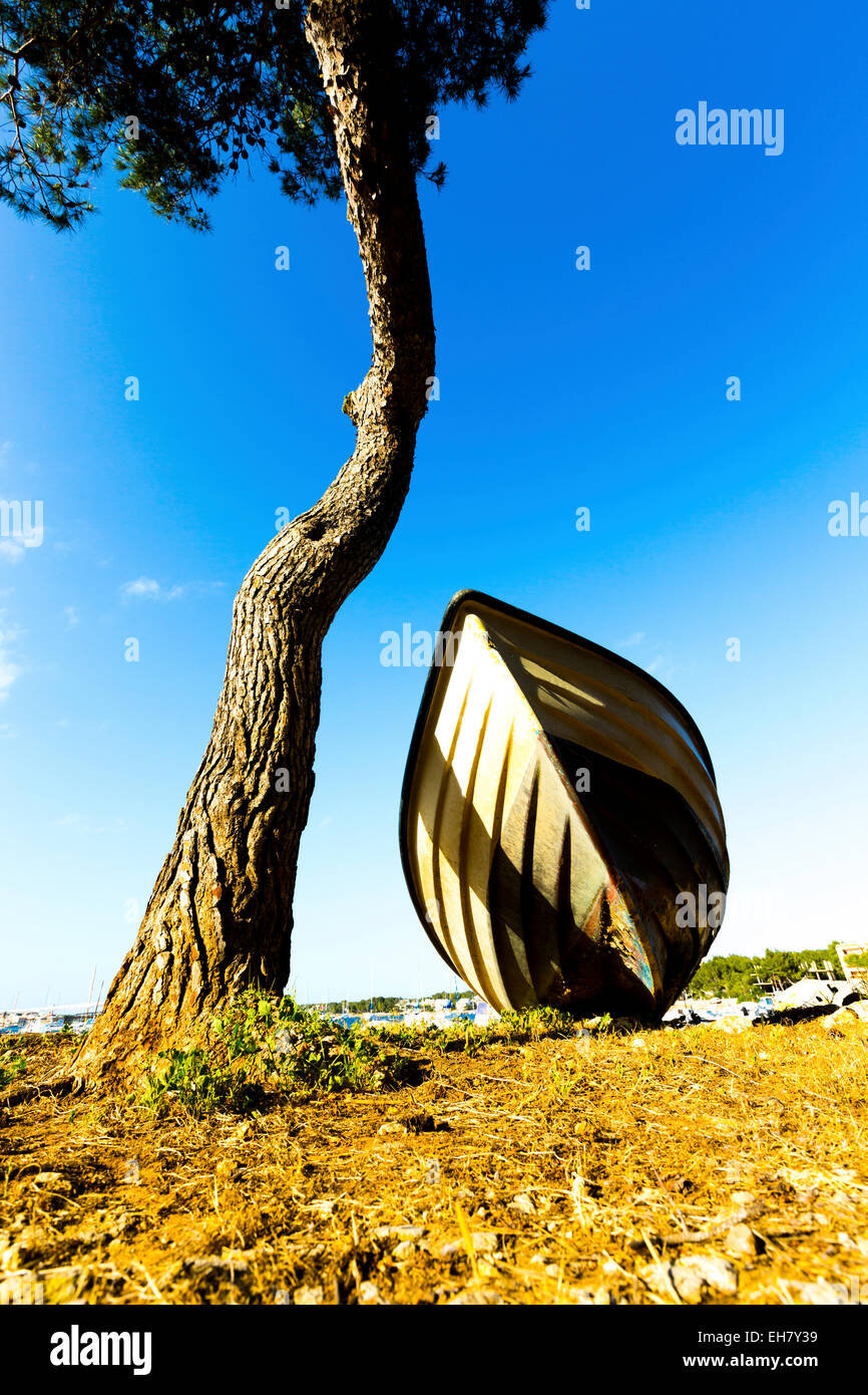Fishing boat under a tree Stock Photo - Alamy