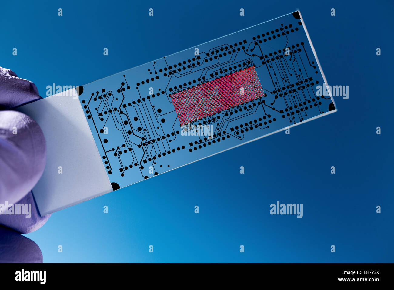 Lab on a chip Stock Photo - Alamy