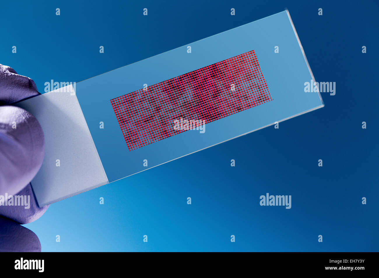 Biochip hi-res stock photography and images - Alamy