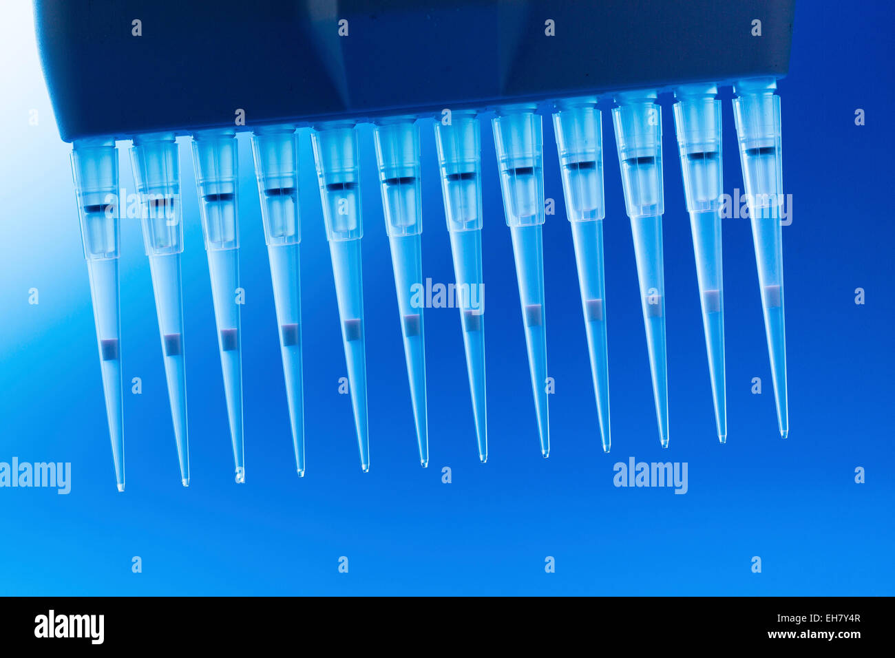 Multichannel pipettes hi-res stock photography and images - Alamy