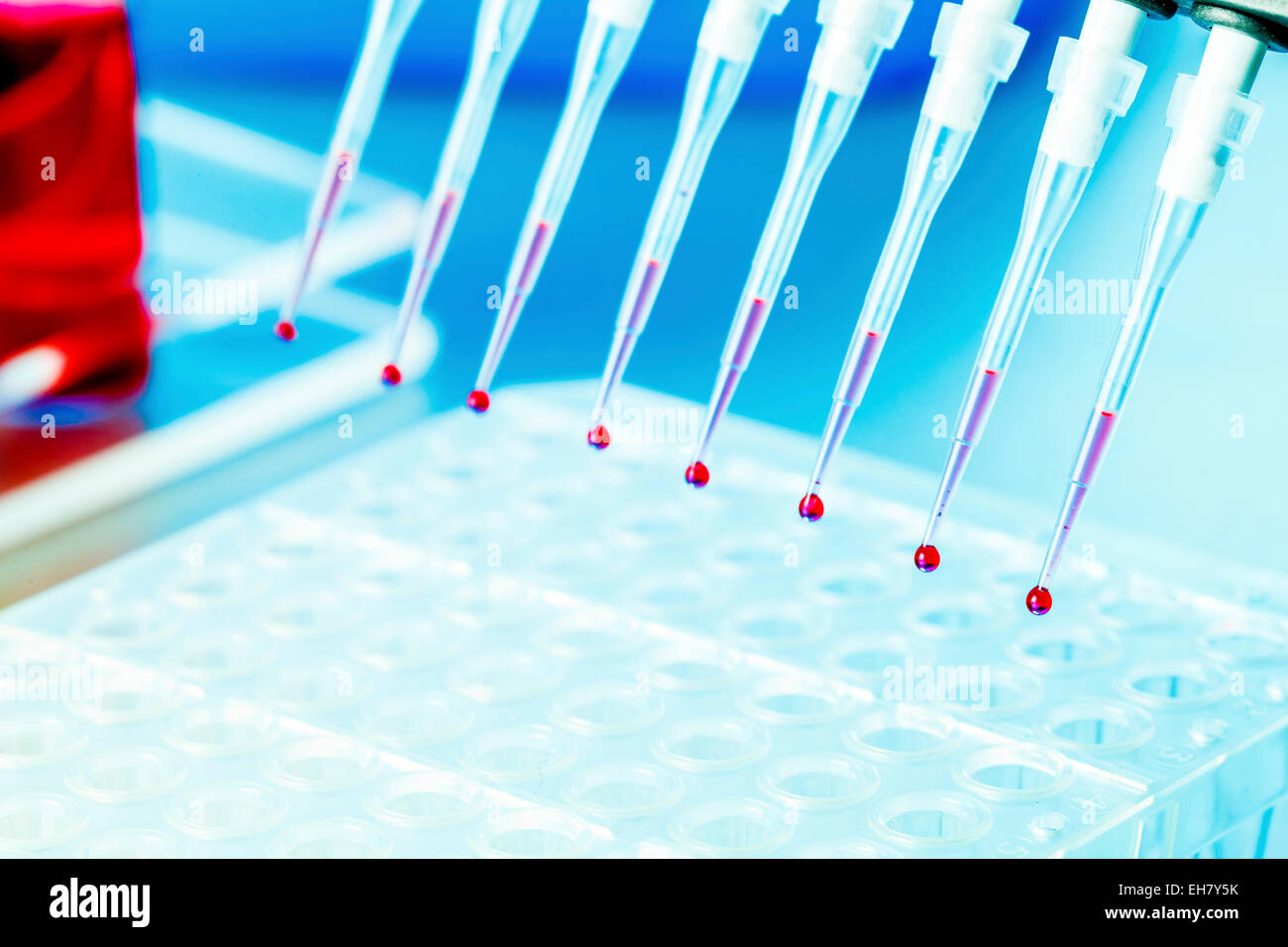 Pipette 96 well plate hi-res stock photography and images - Alamy