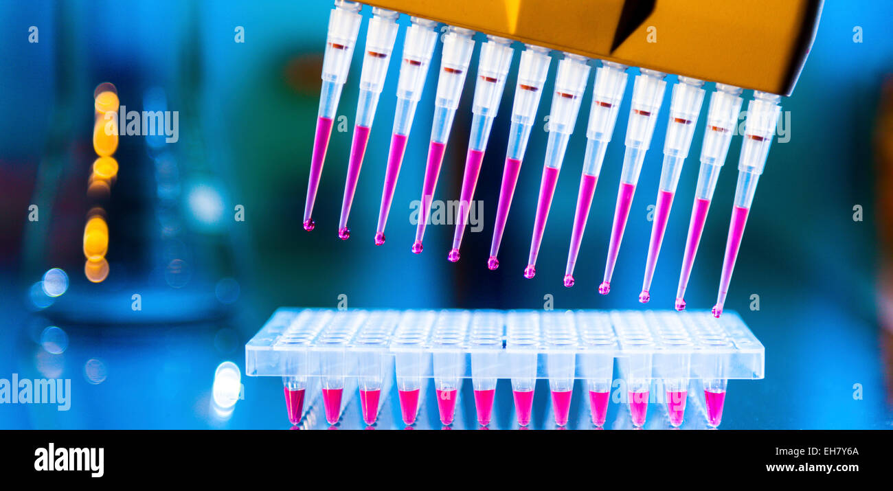 Pipette 96 well plate hi-res stock photography and images - Alamy