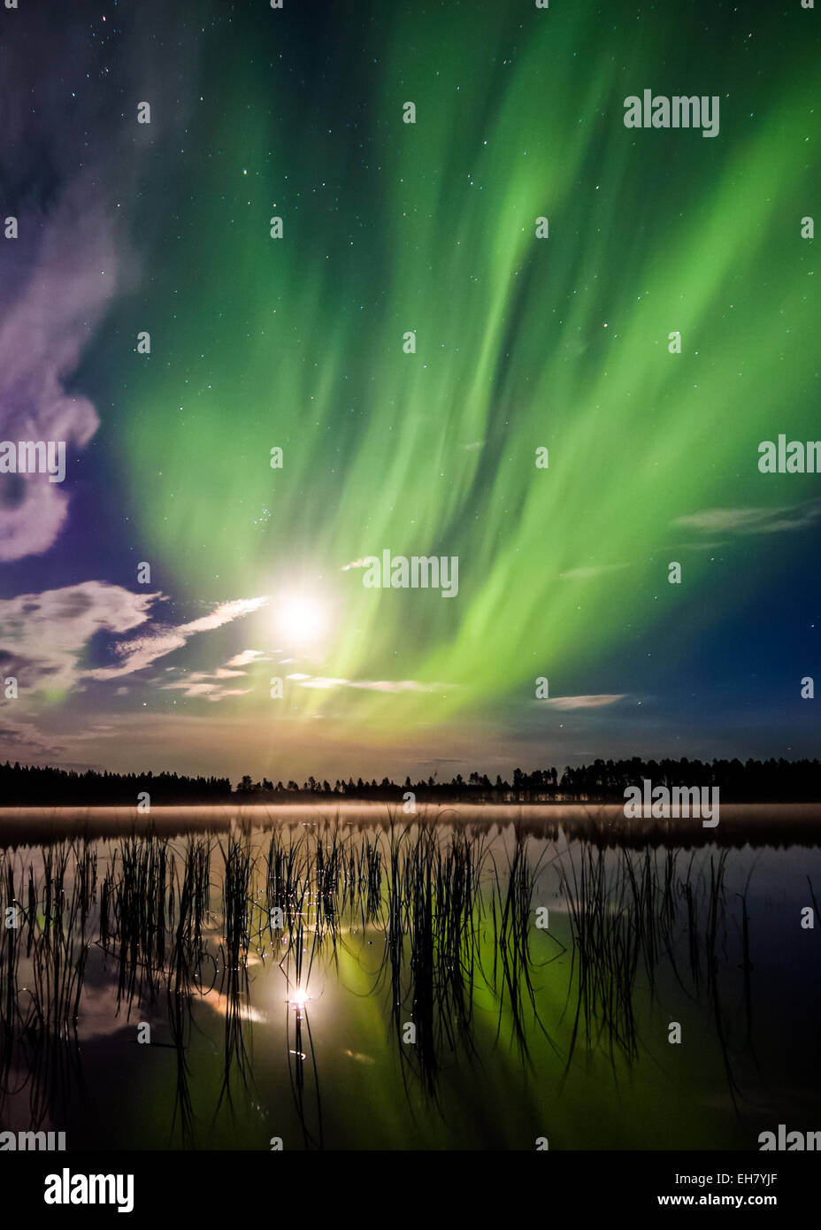 Moonlight lake shore night hi-res stock photography and images - Alamy
