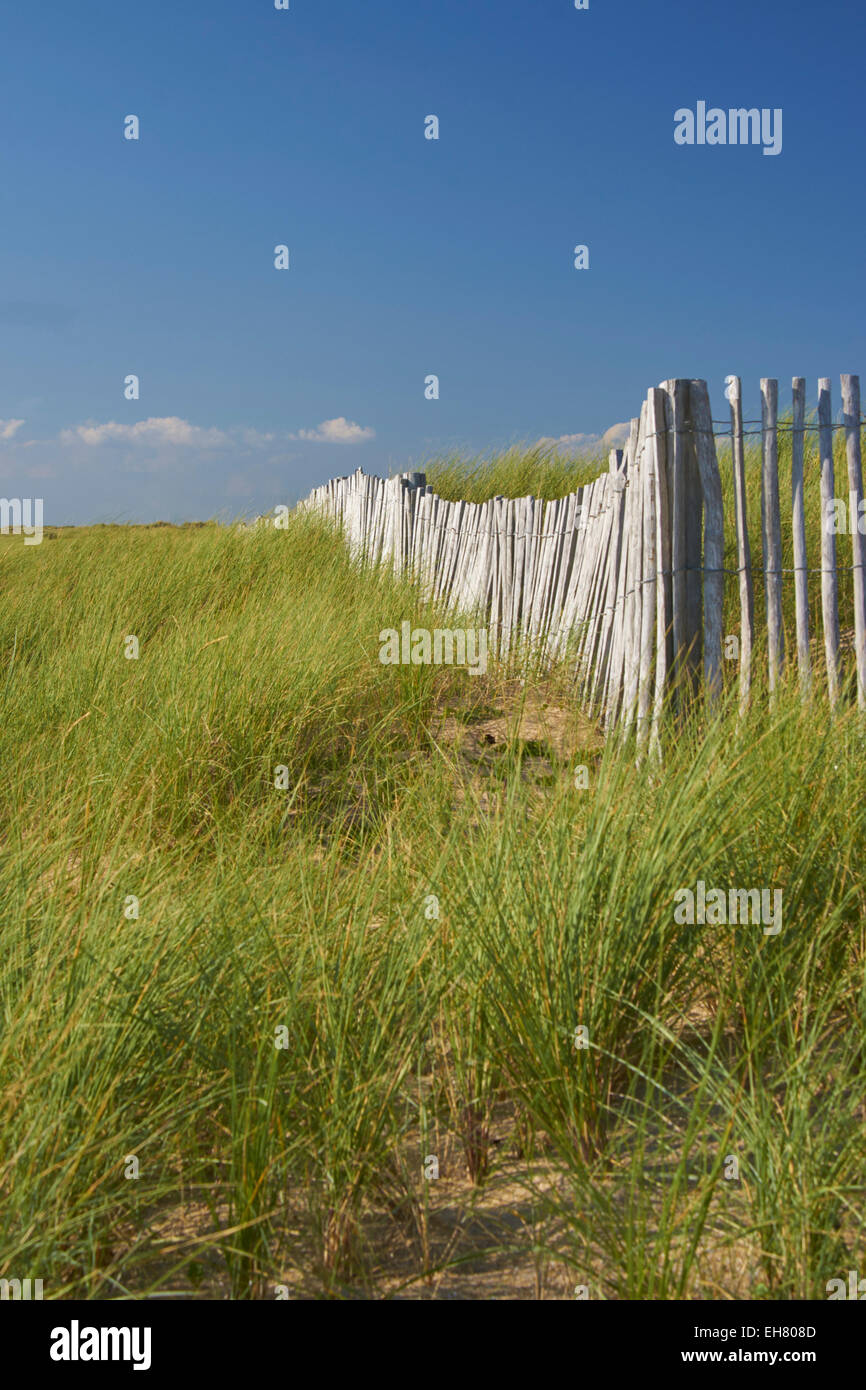 France, Quiberon sand dune protection Stock Photo - Alamy