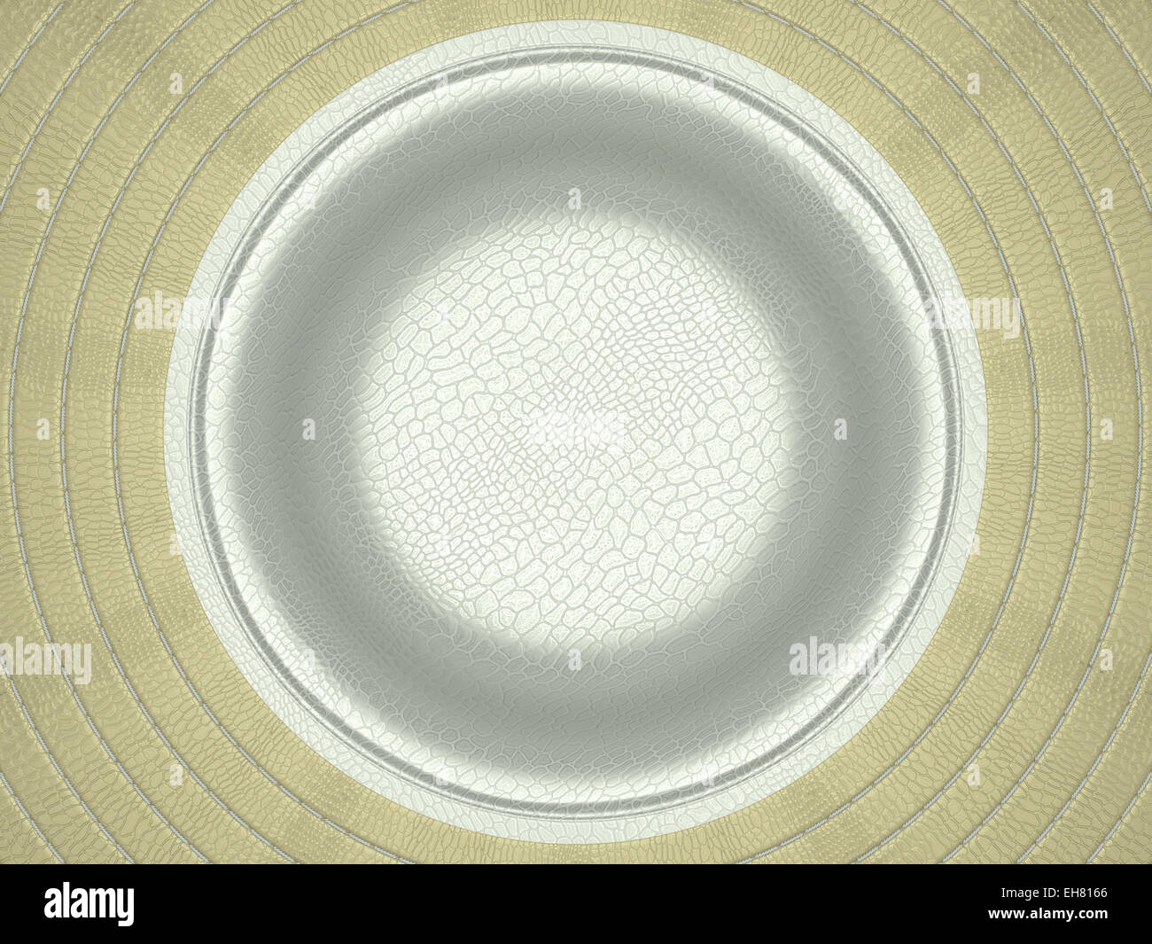 Beige and white stitched circle shape on leather. Large resolution ...