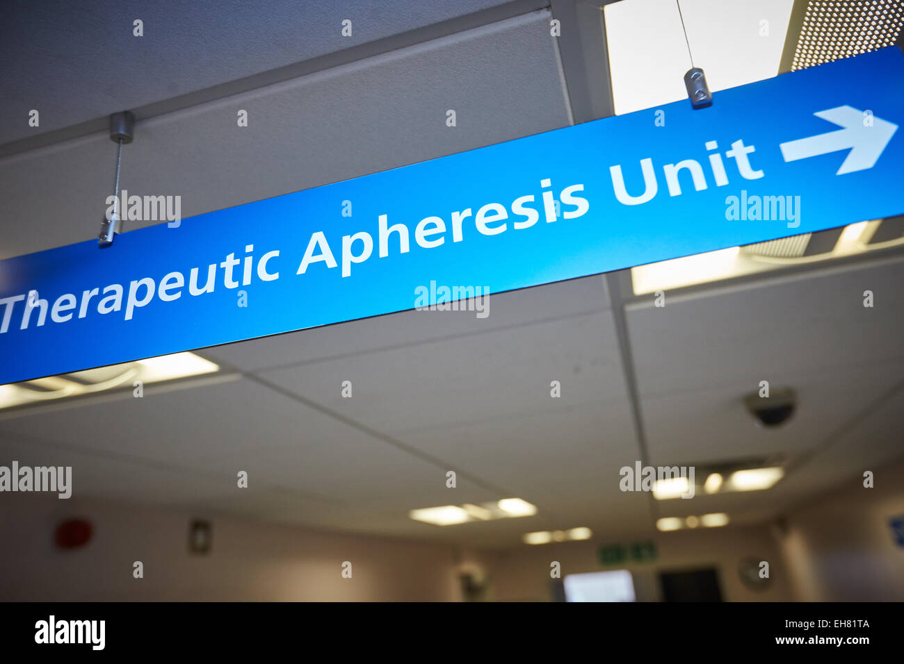 Apheresis hi-res stock photography and images - Alamy