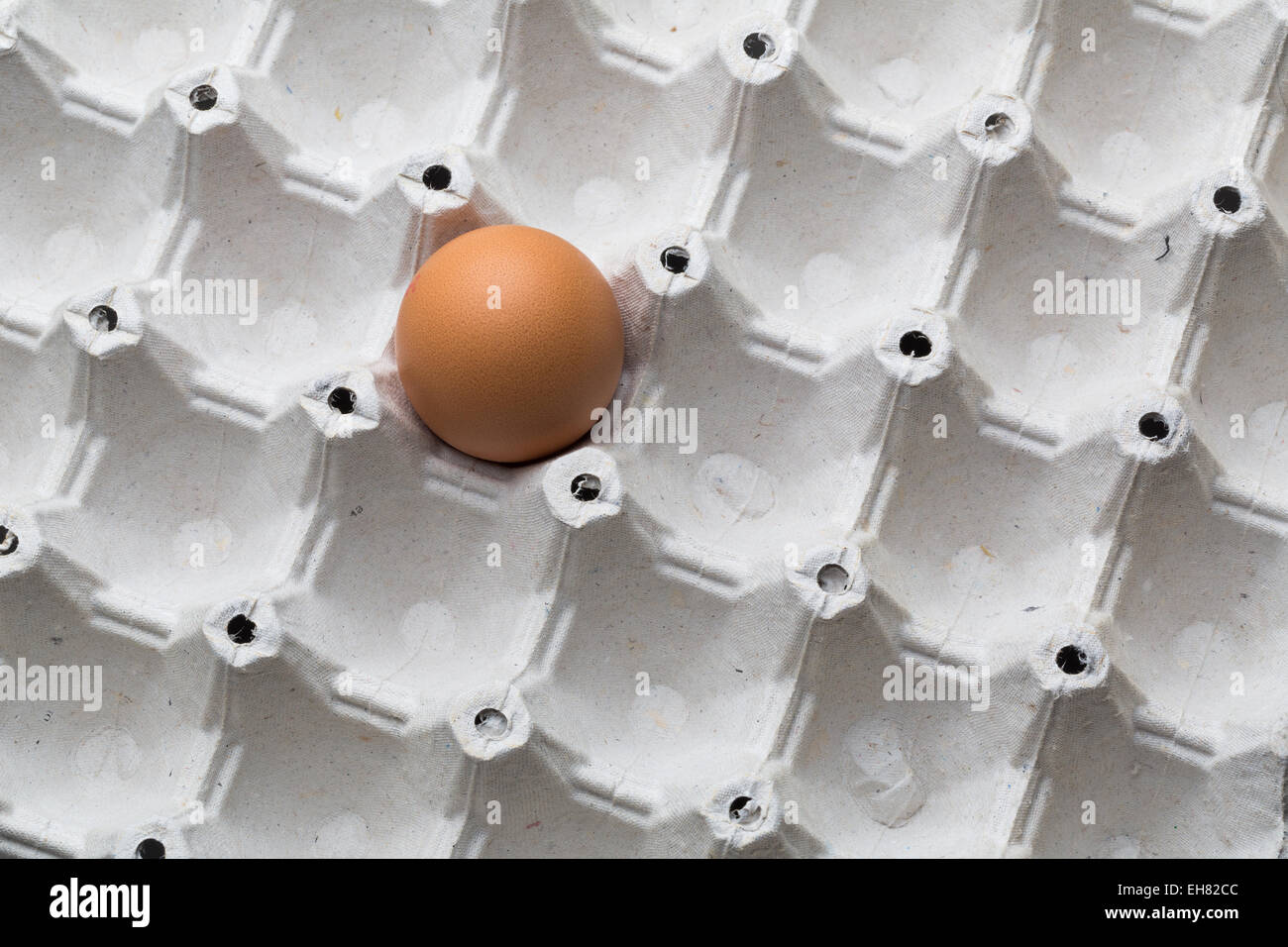 Eggs on white background Stock Photo - Alamy