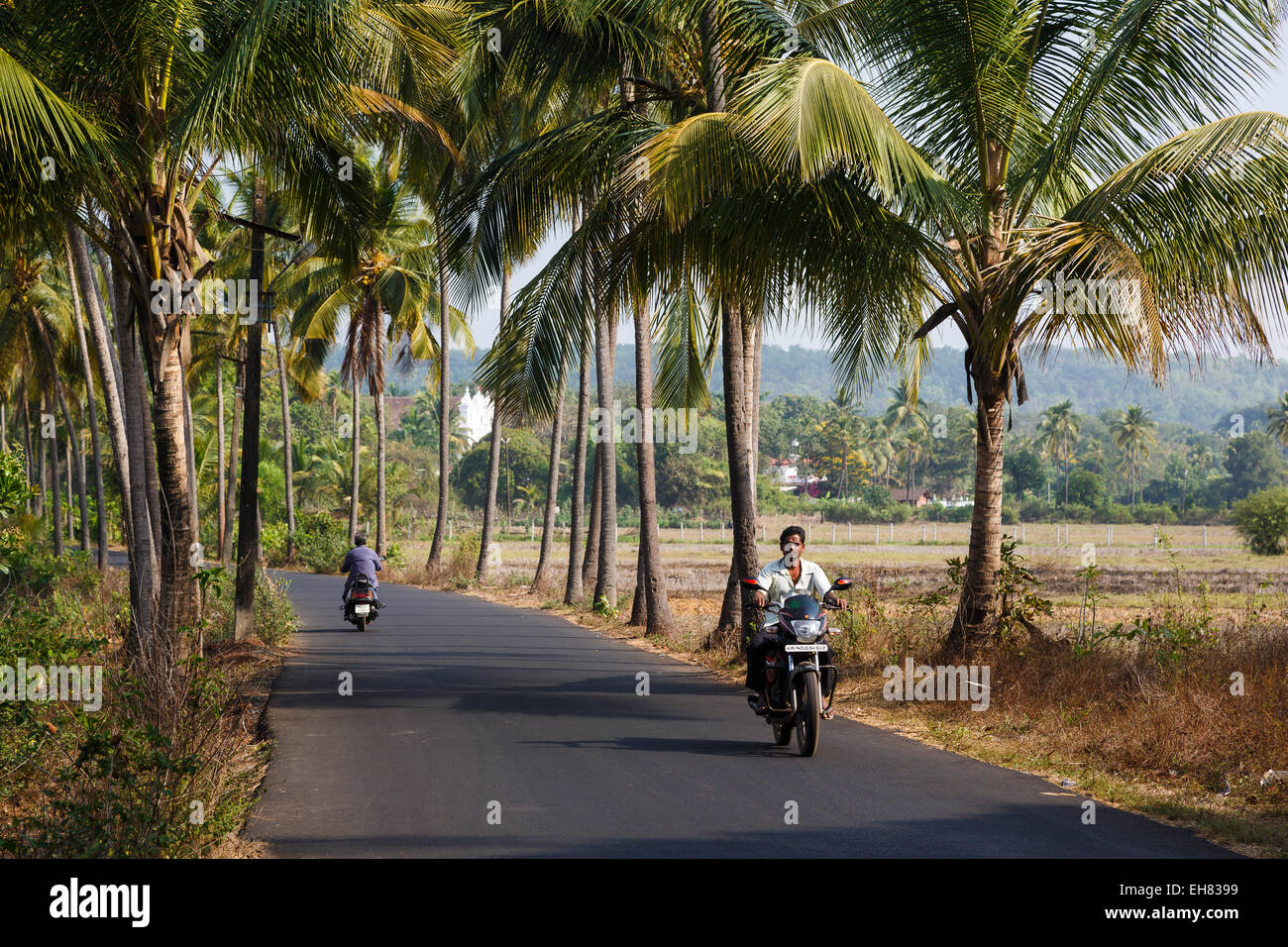 Goa rural hi-res stock photography and images - Alamy