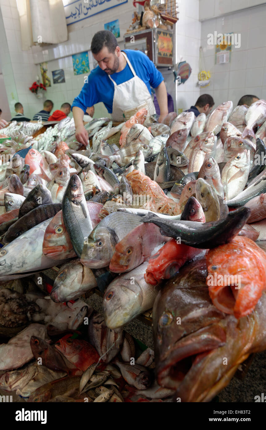 Fishmonger displaying freshly caught fish in Tangier fish market ...