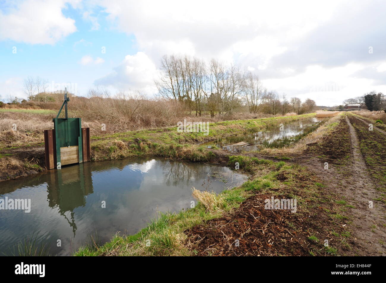The North Walsham & Dilham canal near Pigney's Wood, North Walsham ...