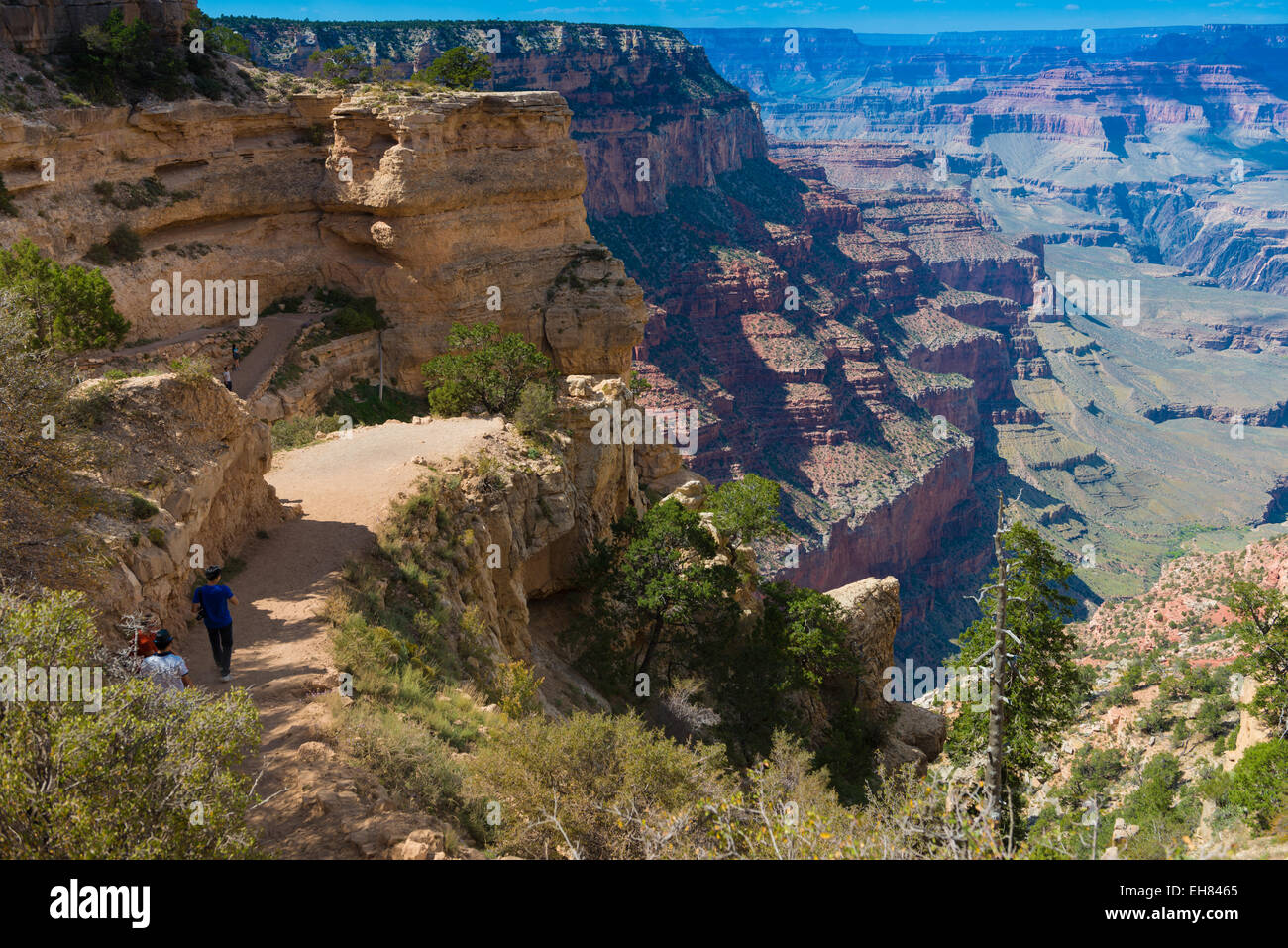People On Grand Canyon Trails, Arizona Stock Photo - Alamy