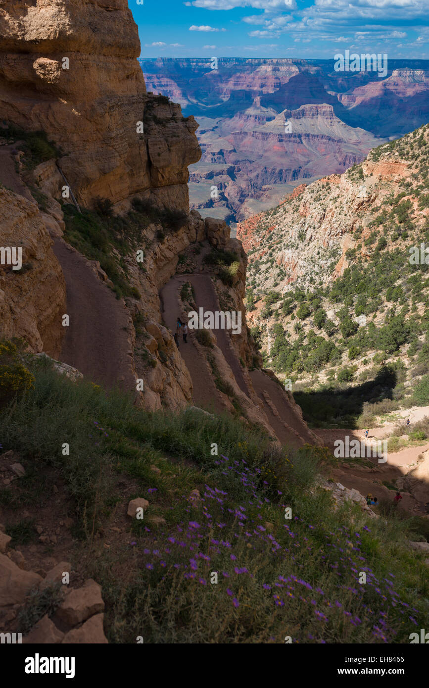 South Rim Trail In Grand Canyon Stock Photo - Alamy