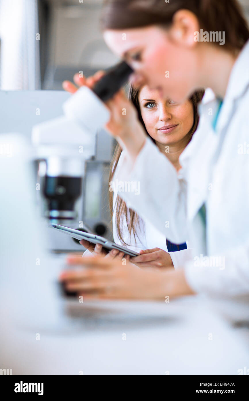 Portrait of a female researcher carrying out research in a chemistry ...