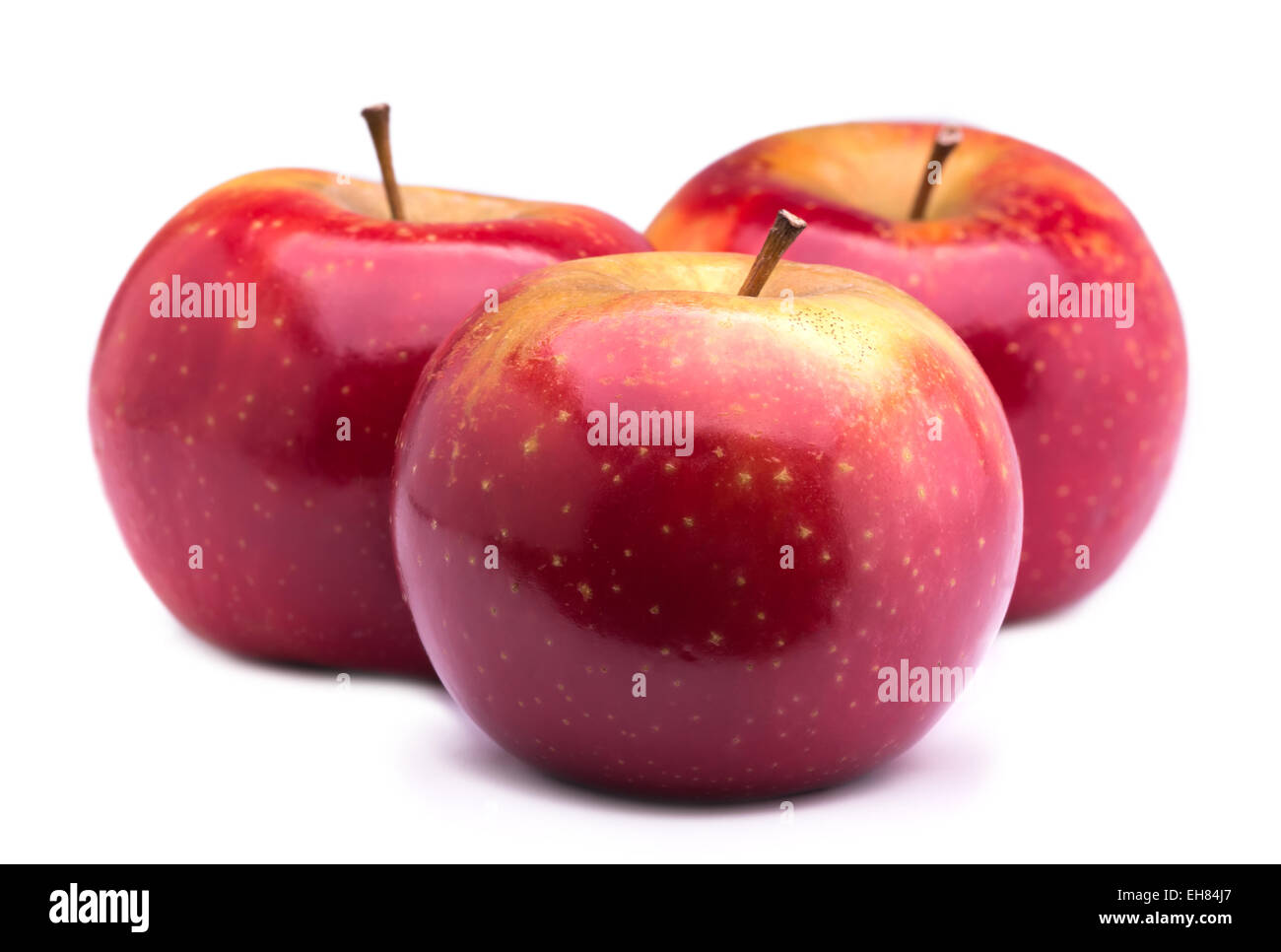 red ripe apples Stock Photo - Alamy